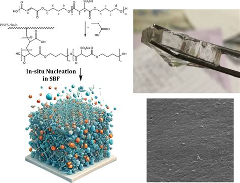 Polymer International Vol 74 No 5