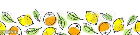 원활한 오렌지와 레몬 과일 테두리 잎 손으로 그린 스케치가있는 과일 벽지 포장지를위한 선형 벡터 일러스트레이션 메뉴 커버 보육원