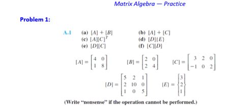 Solved Matrix Algebra Practice Problem 1 A 1 A A Chegg Com