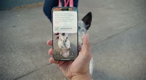 Apples Iphone 16 Gets A New Button On The Side For Camera Control Cnet