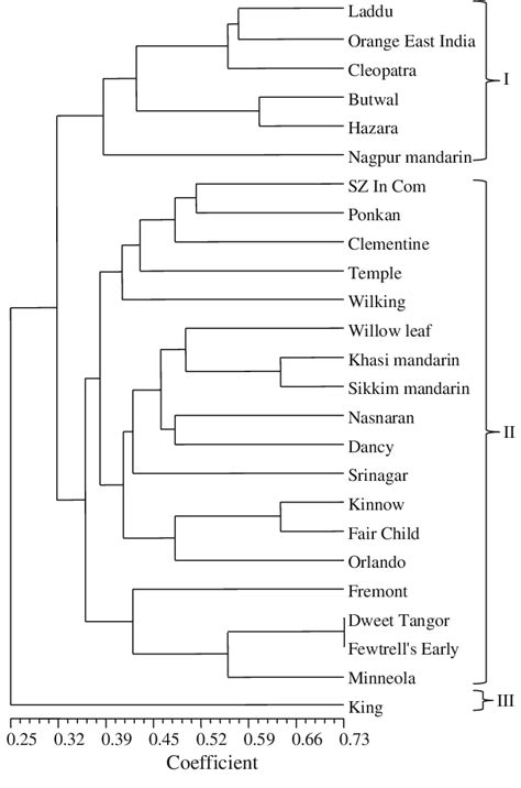 Dendrogram Generated Based On Morphological Traits Of 25 Cultivars Of