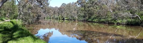 Galatea Point And Dights Falls Loop Victoria Australia 230 Reviews