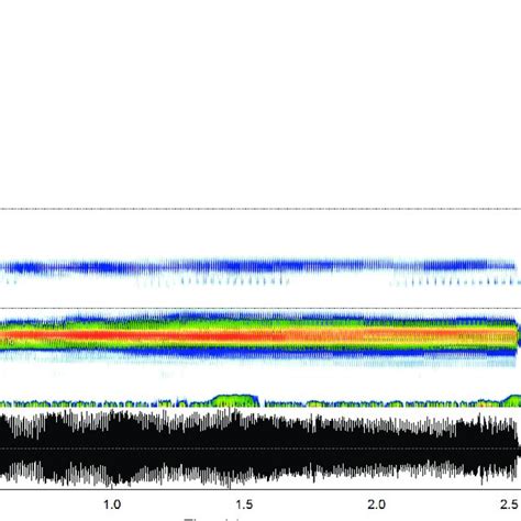 Audiospectrogram Above And Corresponding Oscillogram Below Of The