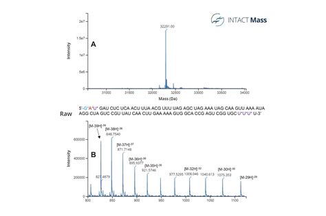 Lc Ms Analysis Of Sirna Single Guide Rna And Impurities Using The