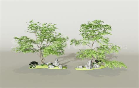 11195 Free Sketchup Trees Models Download 11195 Free Sketchup Trees Models Download