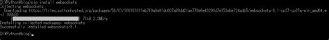 Python Websocket