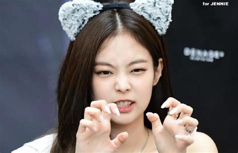 고양이상 대표 연예인들 누가 있을까