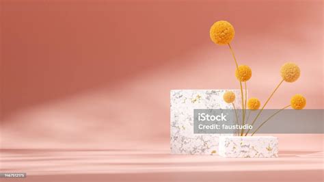 흰색 대리석 블록 연단은 풍경 노란색 미모사와 분홍색 벽 렌더링 3d 빈 공간 미모사에 대한 스톡 사진 및 기타 이미지 미모사 분홍 0명 Istock
