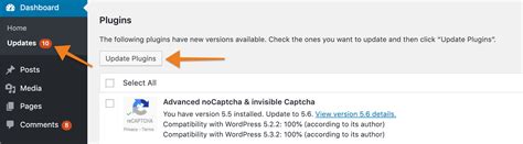 Update Wordpress Plugins Chemicloud Blog