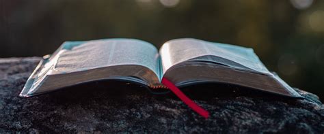 Beta Release V0 23 0 BookStack