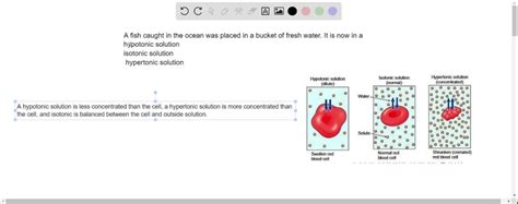 Solved A Fish Caught In The Ocean Was Placed In A Bucket Of Fresh