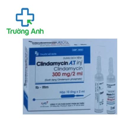 Clindamycin A T Inj 300mg 2ml Thuốc điều Trị Nhiễm Khuẩn Hiệu Quả