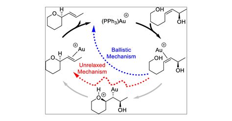Catalysis With A Skip Dynamically Coupled Addition Proton Transfer