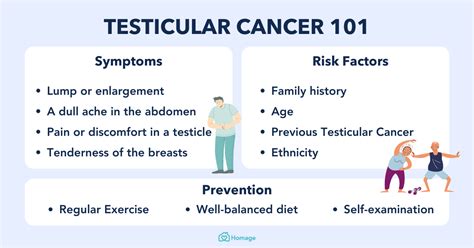 Testicular Cancer 101 Symptoms Types Stages Causes And Treatment Homage Malaysia
