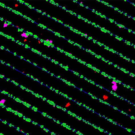 Pdf Deep Learning With Unsupervised Data Labeling For Weed Detection