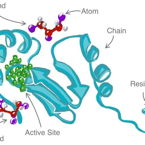 Illustration Of Input Molecular Structures Associated With Molecular Download Scientific