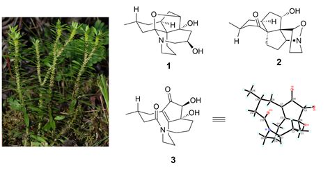 Chemistry And Biodiversity Vol 19 No 7