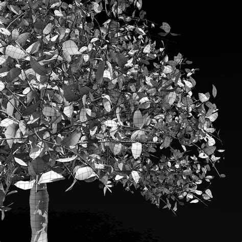 Tree 3d Model 12 Fbx Obj Dae Blend Free3d