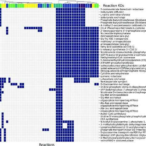 Modified Mta Identifies Key Reaction Knockouts And Pathways For Download Scientific Diagram