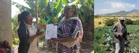 Integrated Value Chain Development In Ethiopia