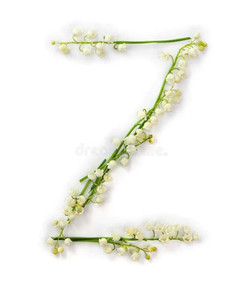 Letter Z Of White Flowers Lily Of The Valley Convallaria On A White