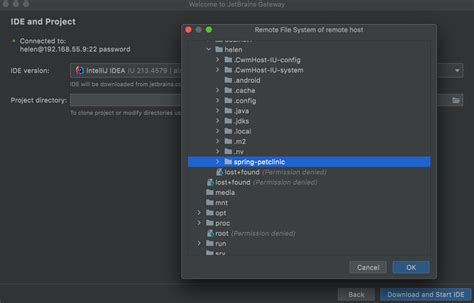 Understanding Jetbrains Gateway Genspark