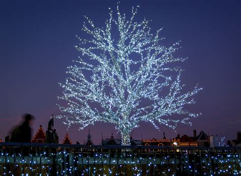 Cleverloverbabe On Tumblr