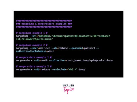Export And Import A Db And A Collection Scaler Topics