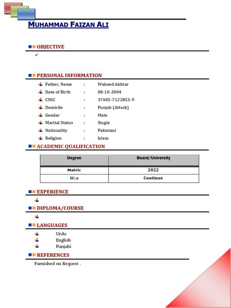 Muhammad Faizan Ali Pdf