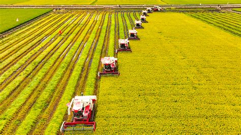 На заседании Политбюро ЦК КПК под председательством генерального секретаря Си Цзиньпина обсудили