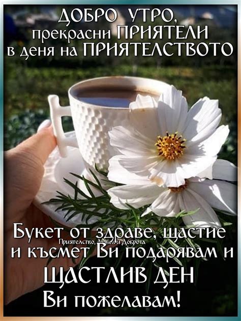 Приятелство Любов и Доброта ДОБРО УТРО ПРИЯТЕЛИ В ДЕНЯ НА ПРИЯТЕЛСТВОТО🌹♥️ ДА НИ Е ЧЕСТИТ 9