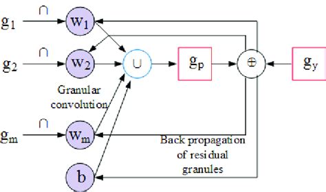 The Process Of Granular Convolution And Back Propagation Download