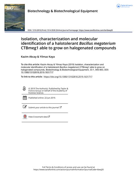 Pdf Isolation Characterization And Molecular Identification Of A Halotolerant Bacillus