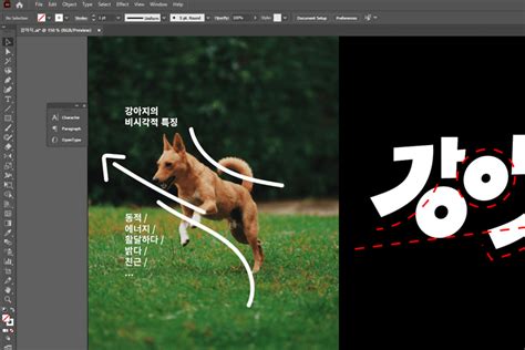 그래픽 디자이너 김도연의 레터링 디자인and모션 클래스 Coloso