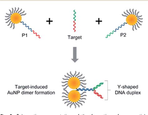 Figure 5 From Plasmonic Nanoparticles In Chemical Analysis Semantic Scholar