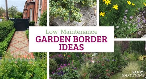 Low Garden Border Ideas