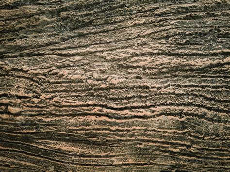 Natural Tree Bark Texture Background Stock Photo At Vecteezy