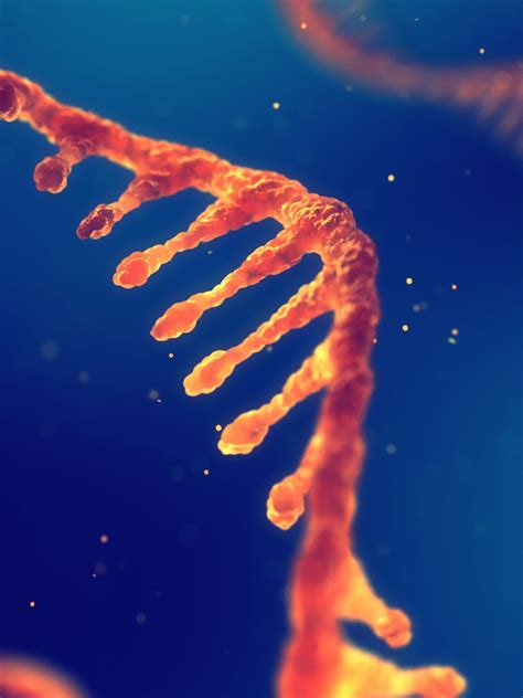 The Same Class Of Artificial Intelligence That Made Headlines Coding Software And Passing The