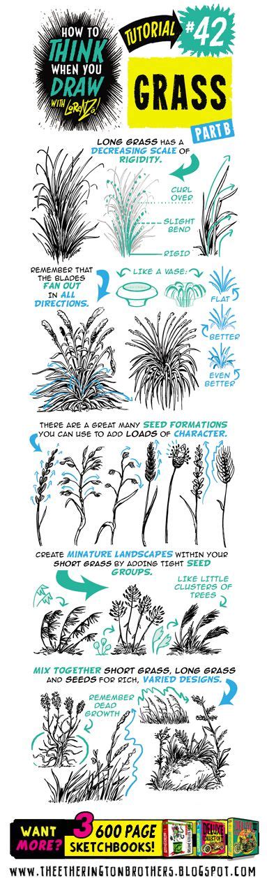 Learn How To Draw Grass Etherington Brothers Tutorial
