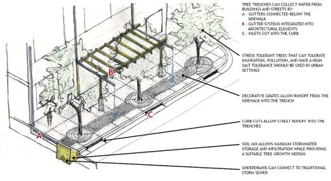 Filetree Box Filter Minnesota Stormwater Manual