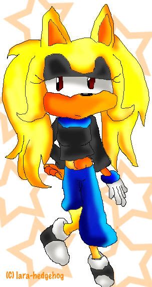 Lara The Hedgehog By Lara Hedgehog On Deviantart