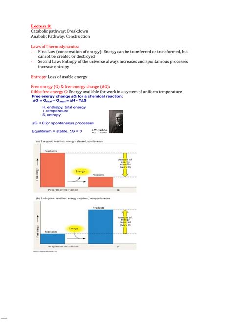 Lecture Notes Lecture 8 9 And 10 Cells Tissues And Organisms Rn Lecture 8 Catabolic Pathway