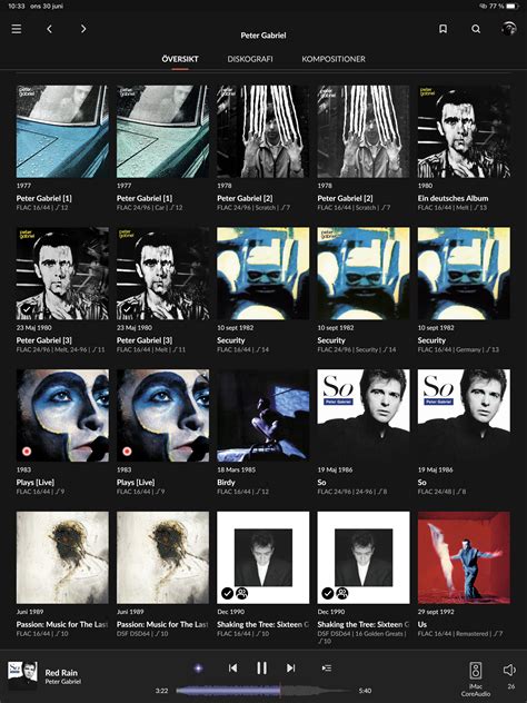 Missing DSD Dsf File Extension Files In Roon Album Listings Under Artist Or Track Sort