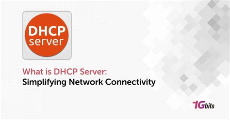 What Is DHCP Server Simplifying Network Connectivity