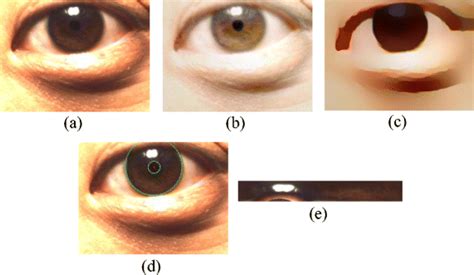 Steps In Adopted Iris Segmentation Process Image Source Polyu