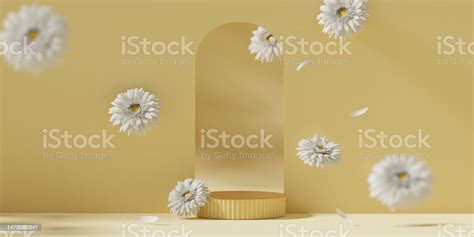 3d 배경 노란색 연단 디스플레이 흰색 데이지 꽃이 떨어집니다 화장품 또는 미용 제품 프로모션 단계 밝은 배경의 받침대 카모마일 봄 배너 3d 렌더 복사 공간 모형 배경