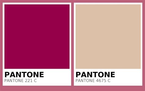 Color Pantone 221 C Vs Pantone 4675 C Side By Side