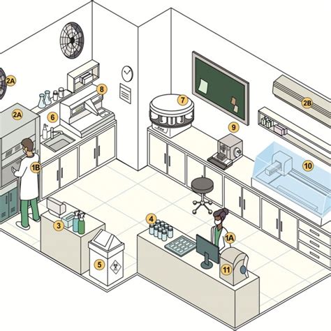 Adaptations On Pathology Laboratory Workflow And Suggested Precautions Download Scientific
