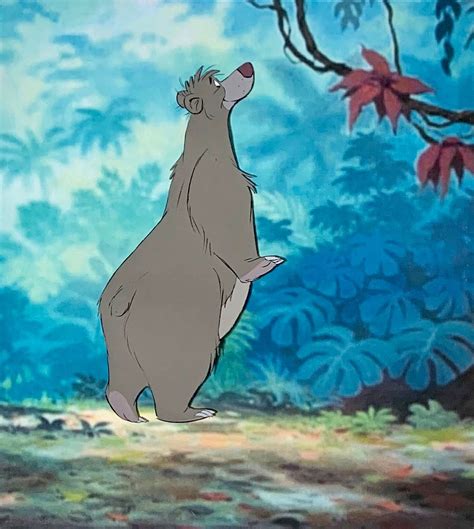 Original Walt Disney Production Animation Cel Of Baloo The Bear From The Jungle Book 1967