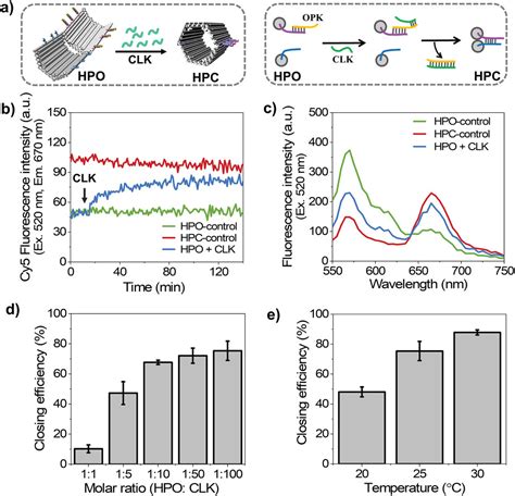 Dynamic Assembly Of Cascade Enzymes By The Shape Transformation Of A Dna Scaffold Lin 2023